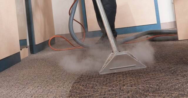How to Deep Clean Carpet at Home | The Flooring Group