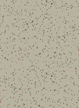 noraplan_stone_1150 | The Flooring Group